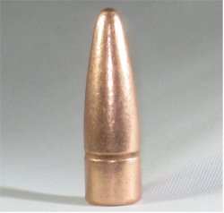 Plated Bullets Archives | Duck Creek Sporting Goods