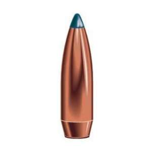 Speer .243 (6mm) 100 grain BTSP bullets (QTY 100) | Duck Creek Sporting ...