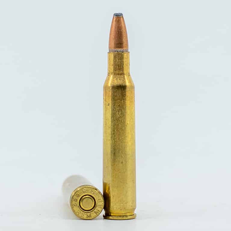 222 REMINGTON MAG ammunition 55-grain PSP (QTY 20) | Duck Creek ...